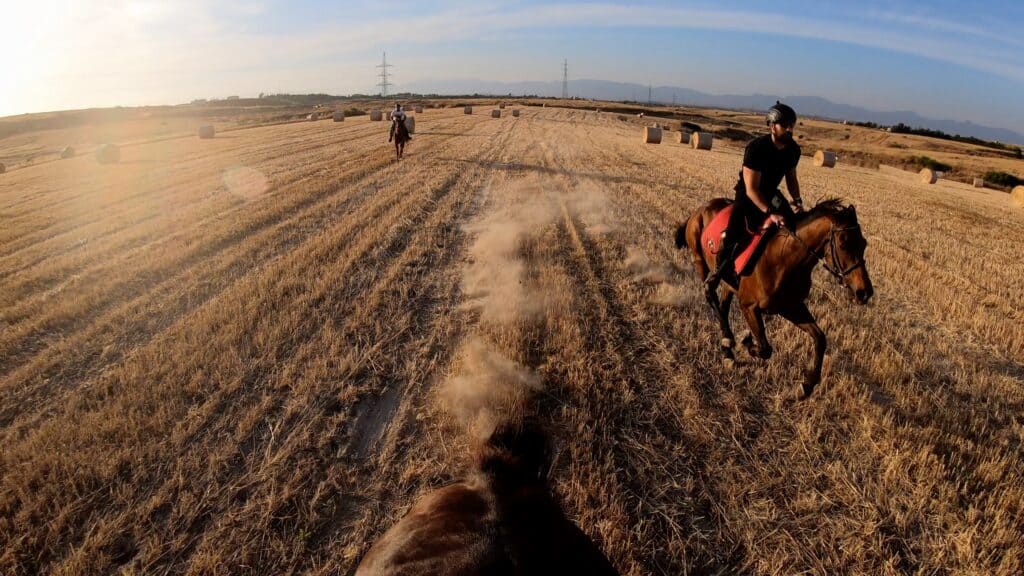 Horse Riding Stories - Tales from the saddle | Horse Gallop