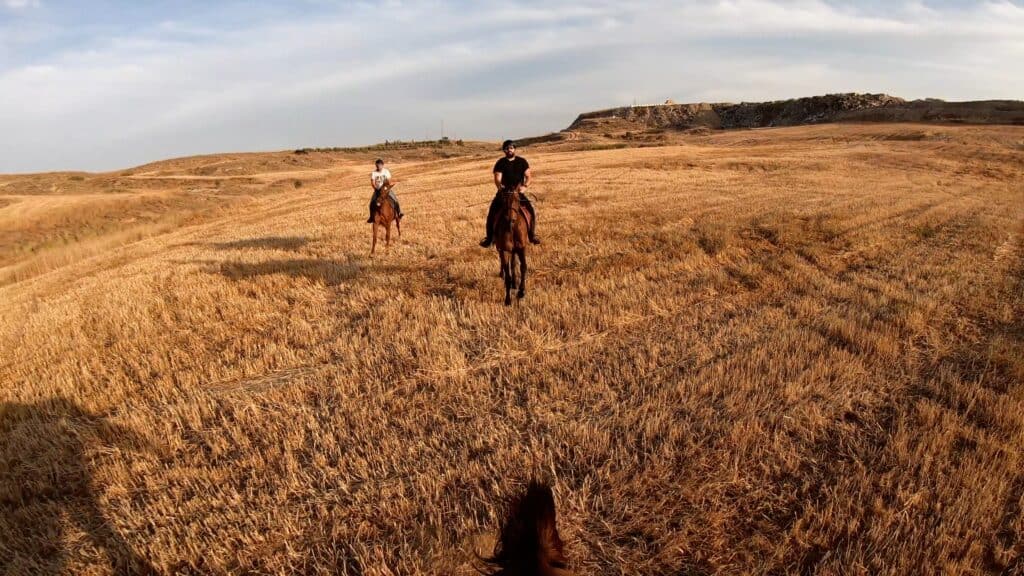 About - Horse Riding Stories, Photos, Videos | Horse Gallop