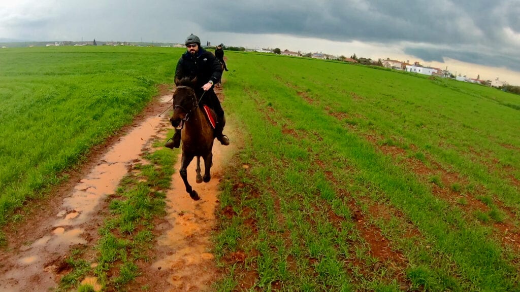 Horsemanship Content and Equestrian Rides | Horse Gallop